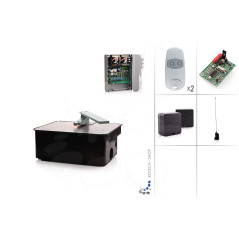 CAME FROG-A24 Moteur enterré 24V pour les portails battants avec caisson